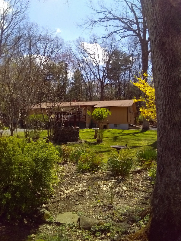 Know Your H2O: Empowering Real Estate Professionals with Well Water Ed ...