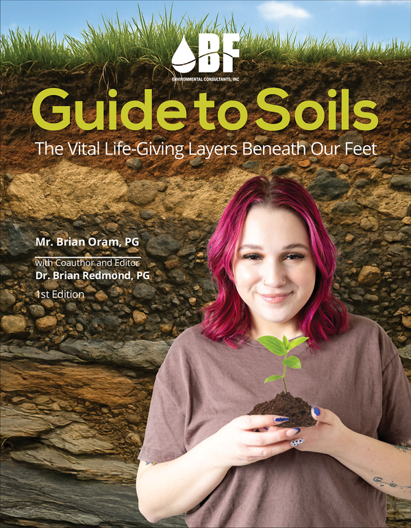 Soil Science Guide to Soils: The Vital Life-Giving Layers Beneath Our ...
